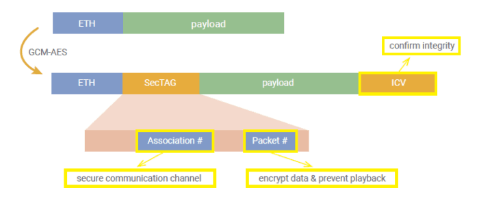 MACsec Security für die industrielle Digitalisierung - tekmodul GmbH
